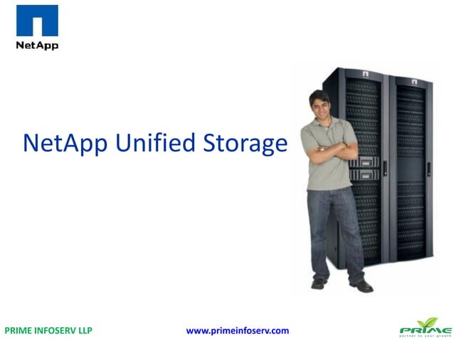 Netapp Storage | PDF