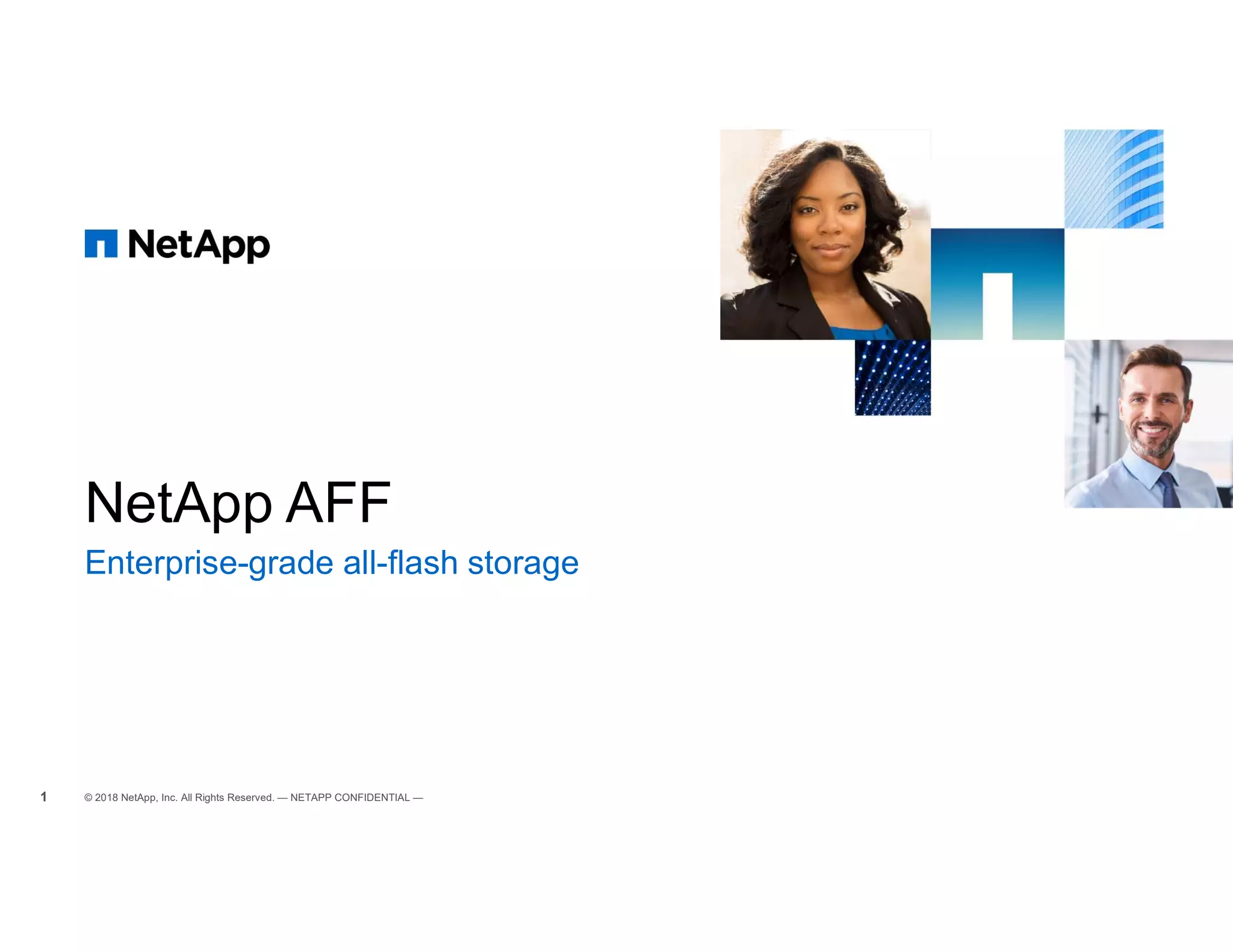 NetApp enterprise All Flash Storage | PDF