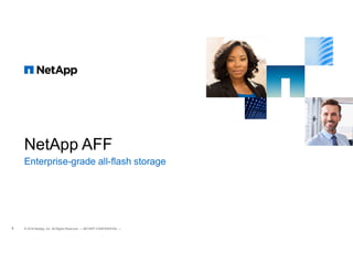 NetApp enterprise All Flash Storage | PDF