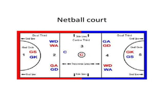 Netball ) | PDF