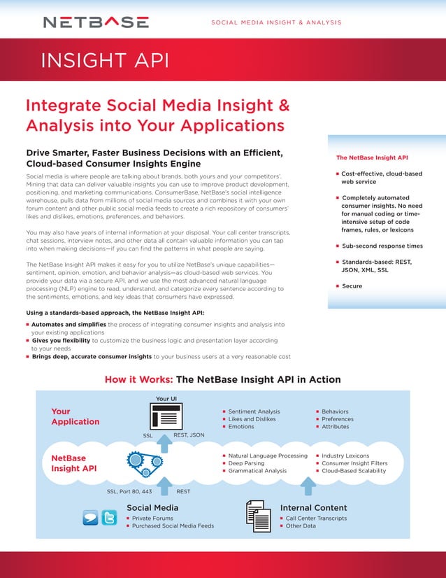NetBase API Data Sheet | PDF