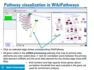 NetBioSIG2012 anyatsalenko-en-viz | PPT