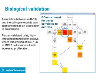 NetBioSIG2012 anyatsalenko-en-viz | PPT