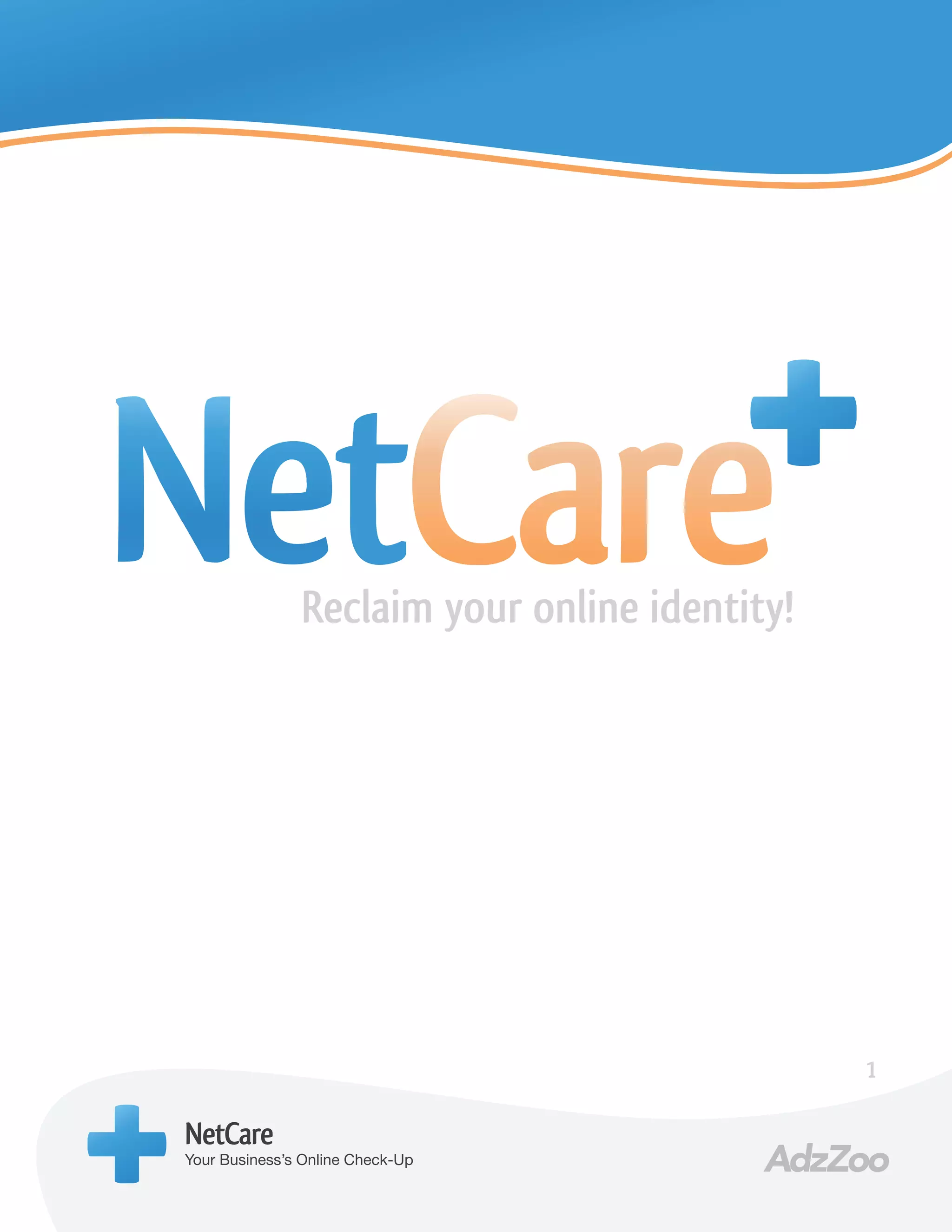NetCare Overview | PDF