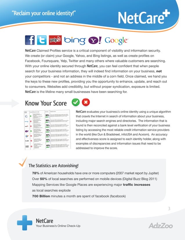 NetCare Overview | PDF