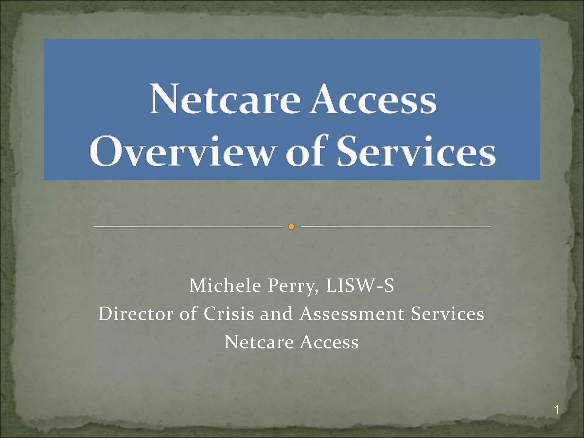 Netcare Access Overview of Services | PPT