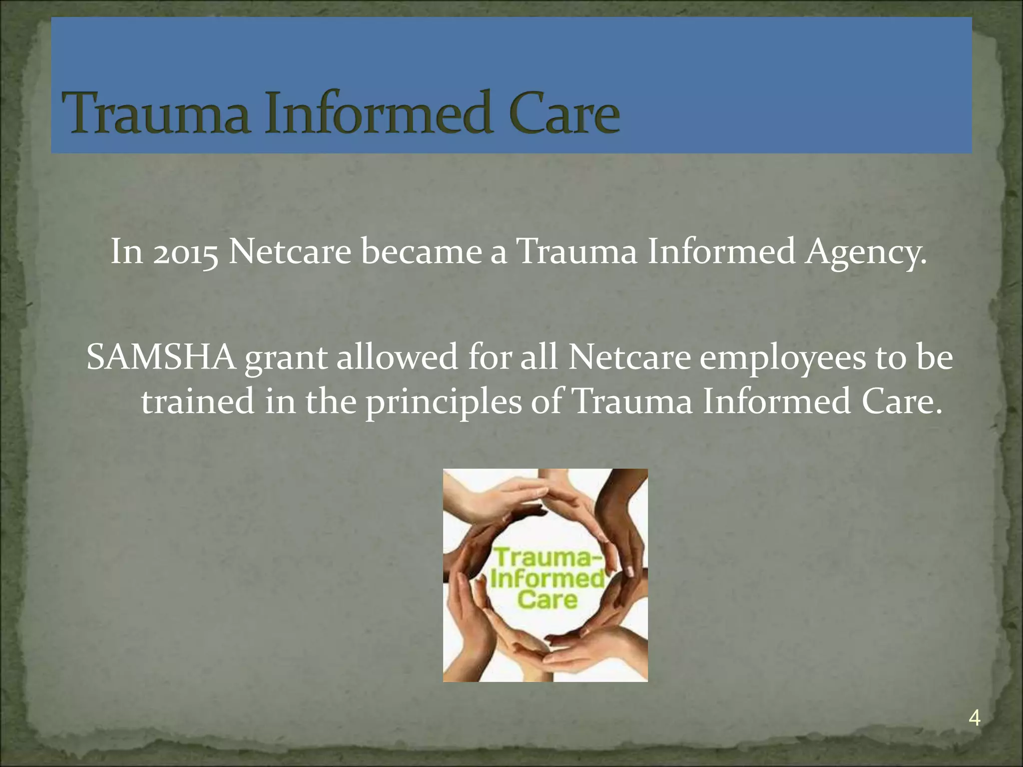 Netcare Access Overview of Services | PPT