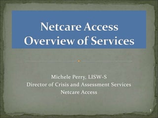 Netcare Access Overview of Services | PPT
