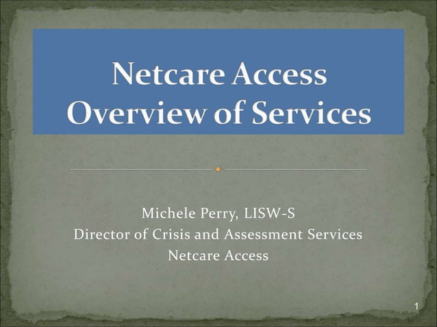 Netcare Access Overview of Services | PPT