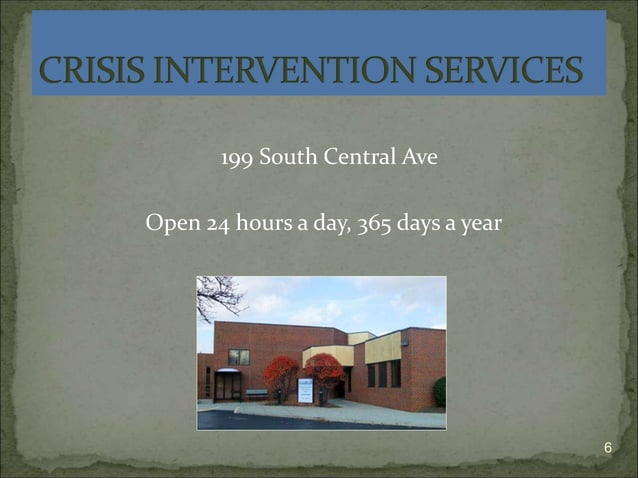 Netcare Access Overview of Services | PPT