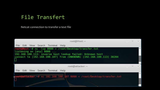 NetCat - the suiss army knife of network | PPTX | Internet | Computing