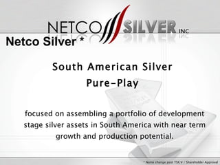 Netco Silver Presentation | PPT