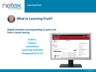 Netex corporate presentation | PPT