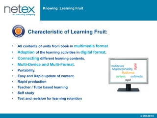 Netex corporate presentation | PPT | Technology & Computing