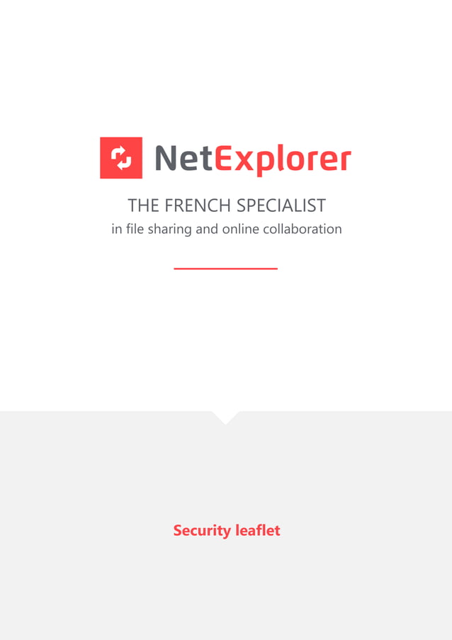 NetExplorer security leaflet | PDF