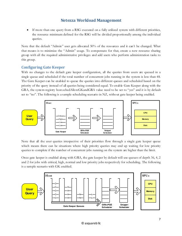 Netezza workload management