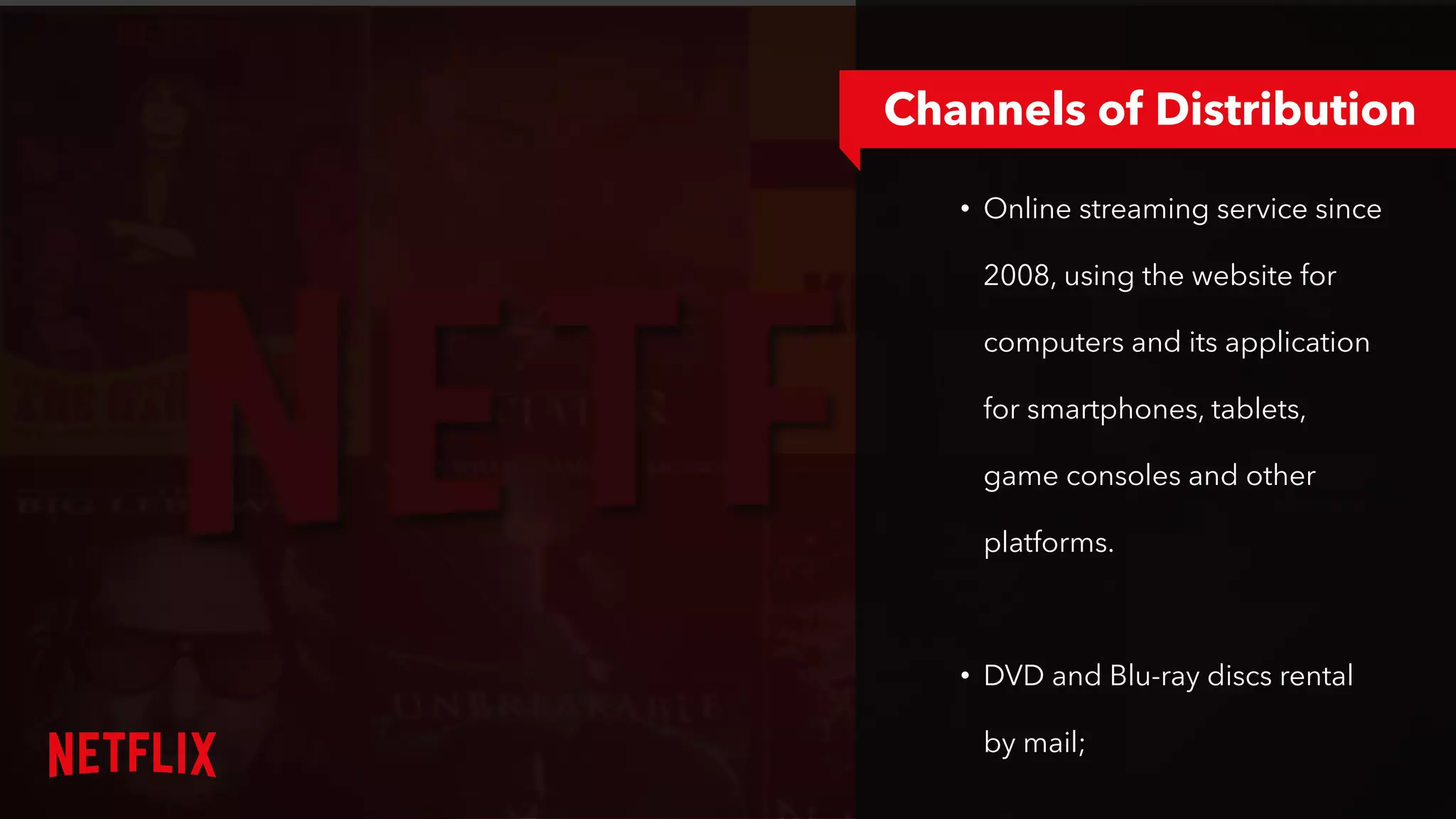 Netflix Business Model - Nine Elements | PDF