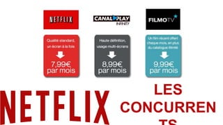 Netflix in France | PPTX