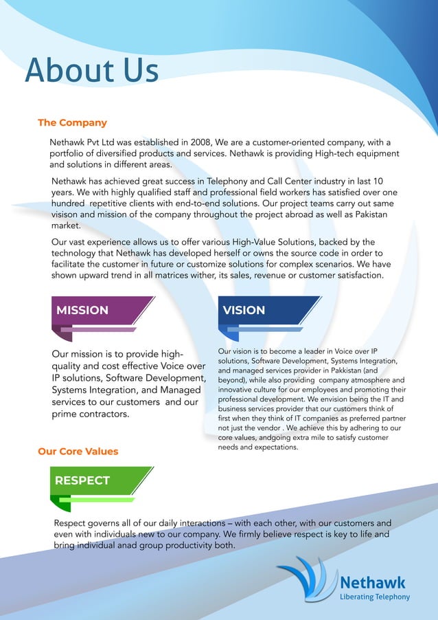 Nethawk Company profile-2020 | PDF