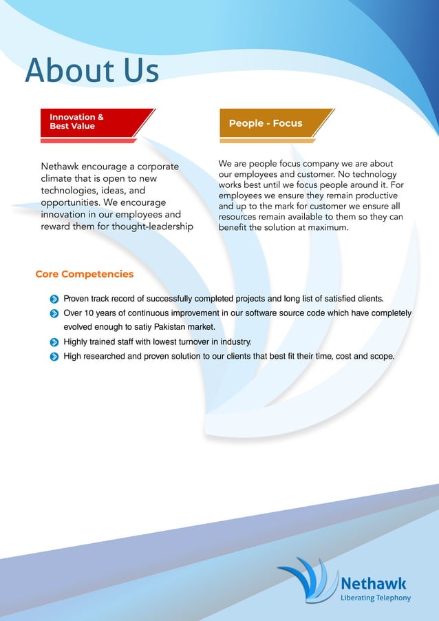 Nethawk Company profile-2020 | PDF