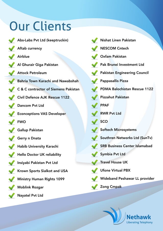 Nethawk Company profile-2020 | PDF