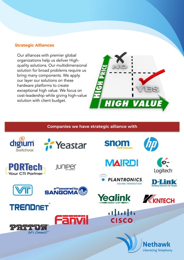 Nethawk Company profile-2020 | PDF