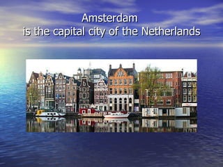 Netherlands | PPT