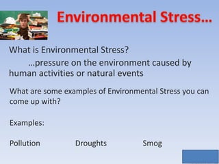 Mental Health, stress, positive stress negatibe stress | PPT