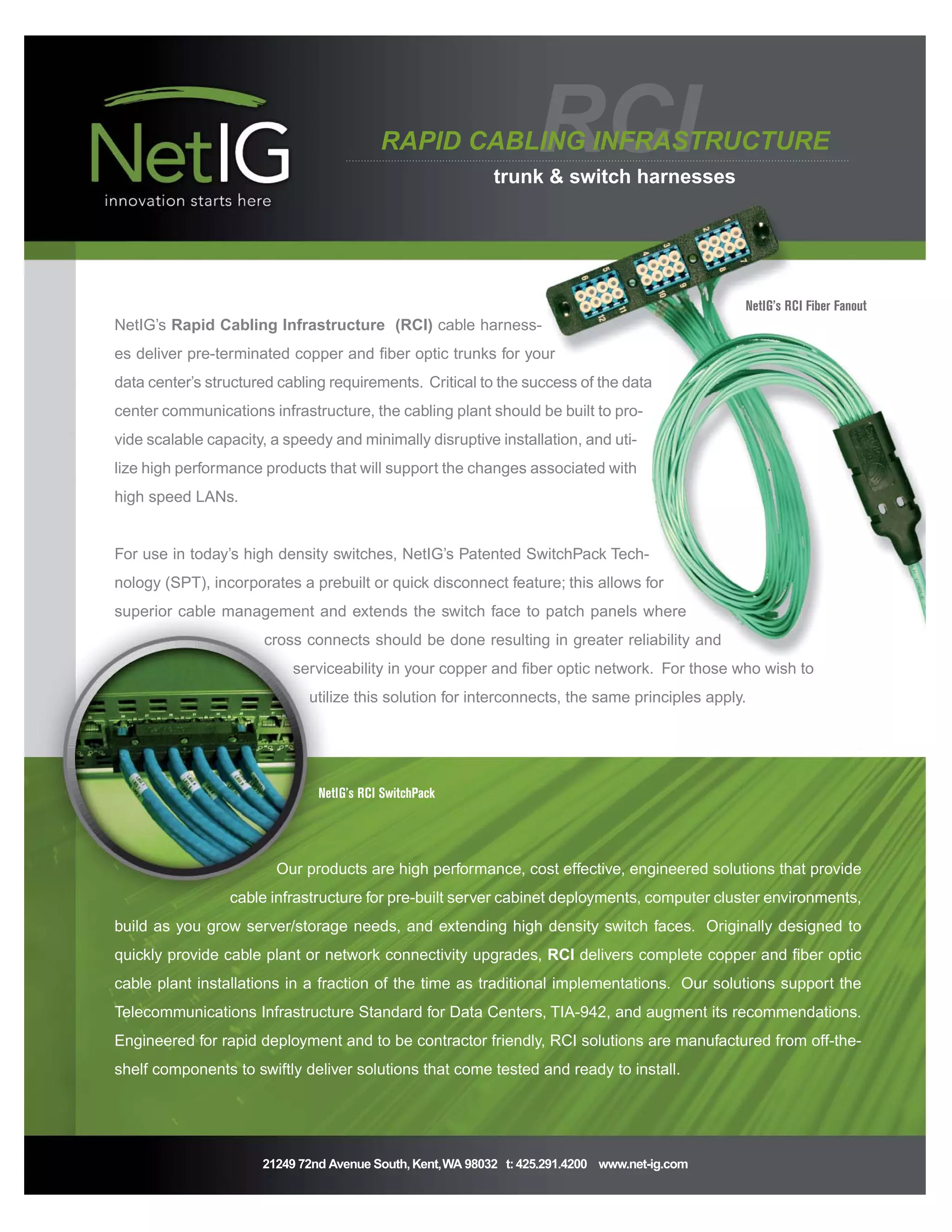 NetIG RCI Brochure | PDF | Computer Networking | Computing
