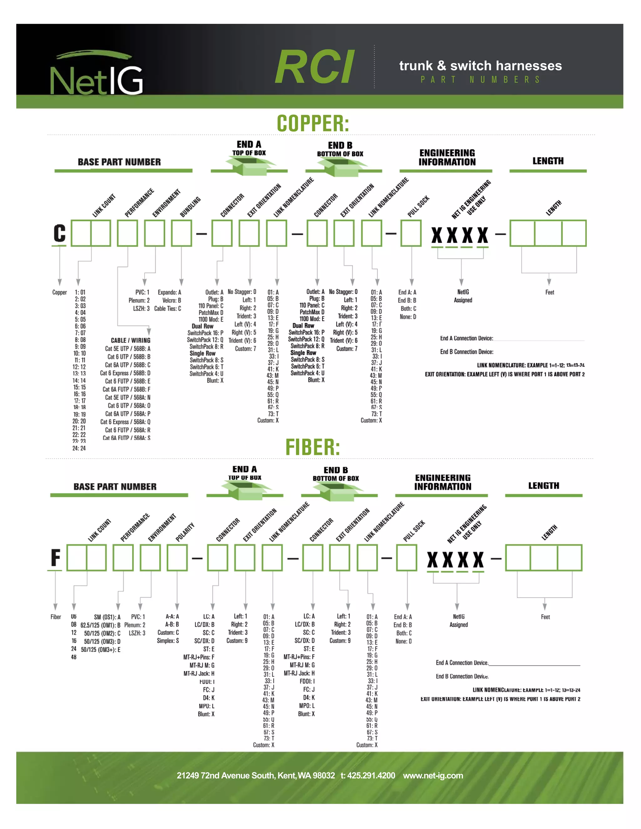 NetIG RCI Brochure | PDF | Computer Networking | Computing