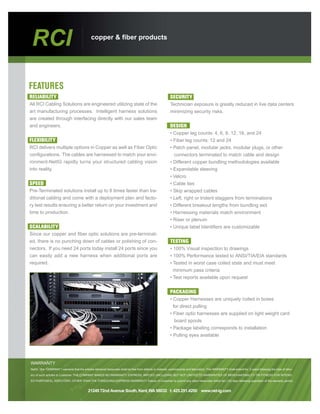 NetIG RCI Brochure | PDF | Computer Networking | Computing