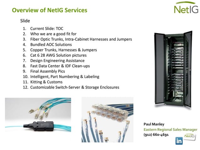 NetIG Services Overview | PDF