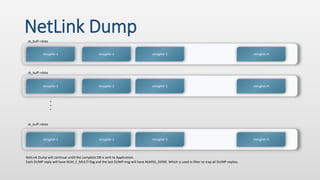 Netlink-Optimization.pptx