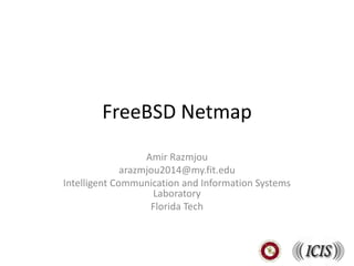 Netmap presentation | PPTX