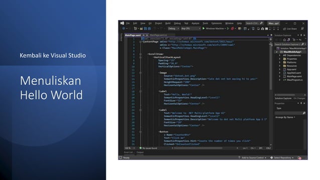 NET MAUI.pptx