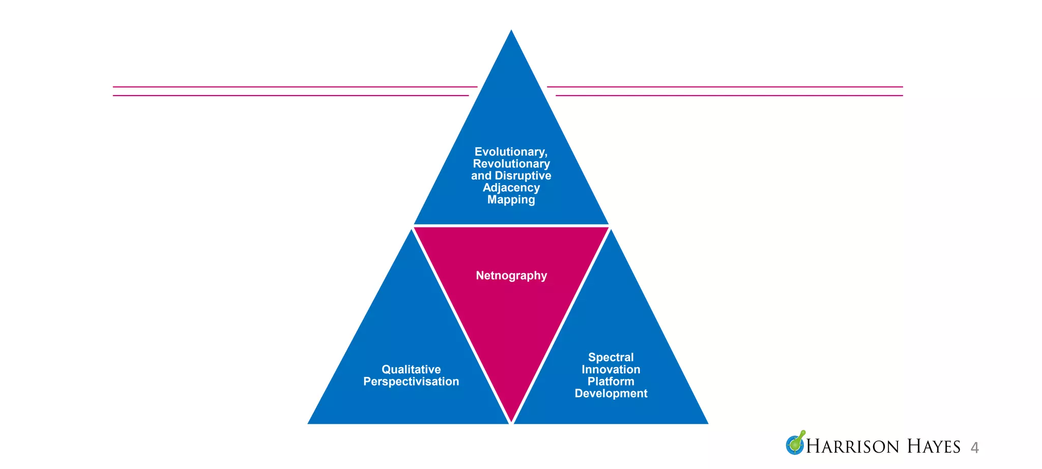 What is Netnography | PPT