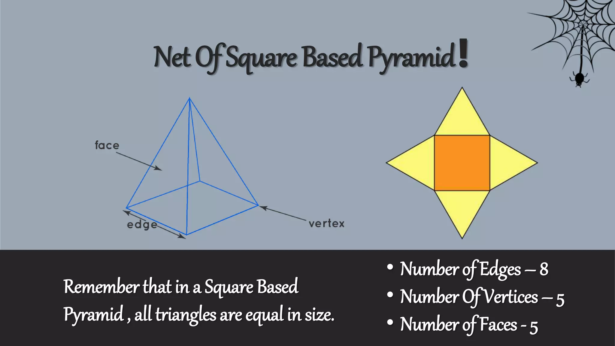 Net of 3D shapes | PPTX