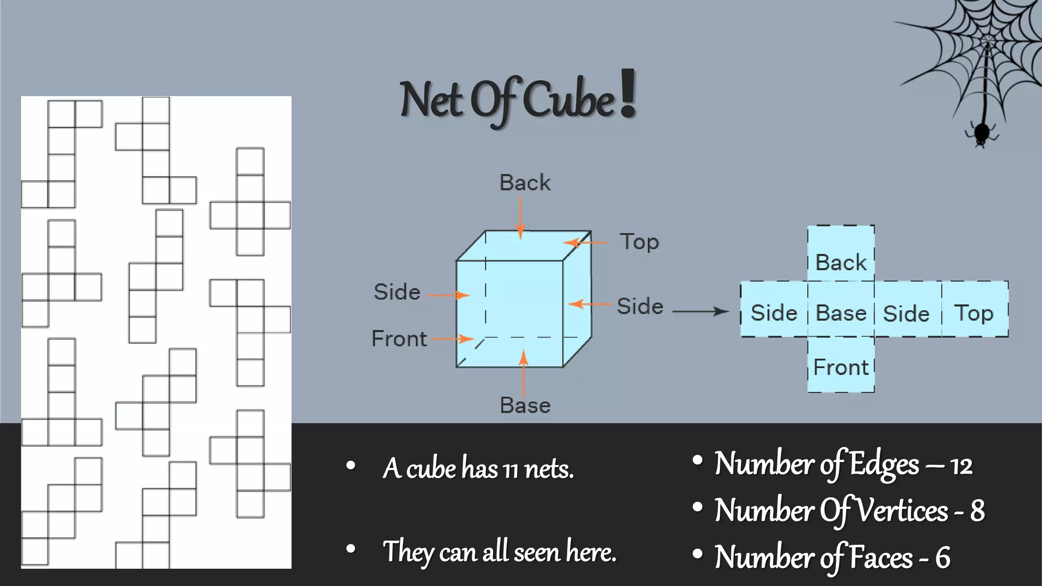 Net of 3D shapes | PPTX
