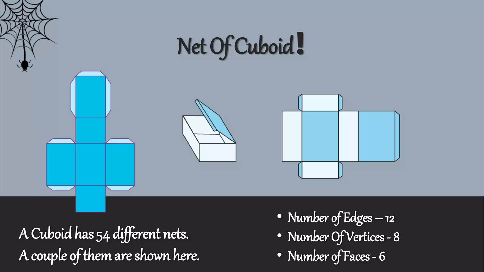 Net of 3D shapes | PPTX