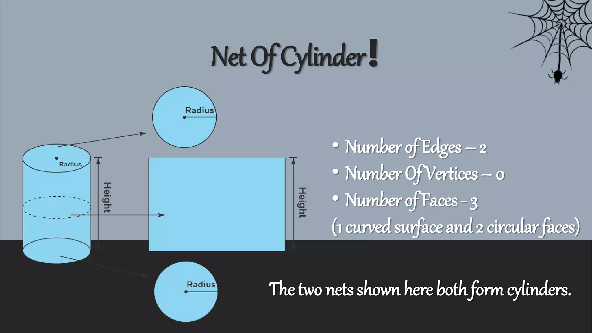 Net of 3D shapes | PPTX