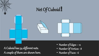 Net of 3D shapes | PPTX