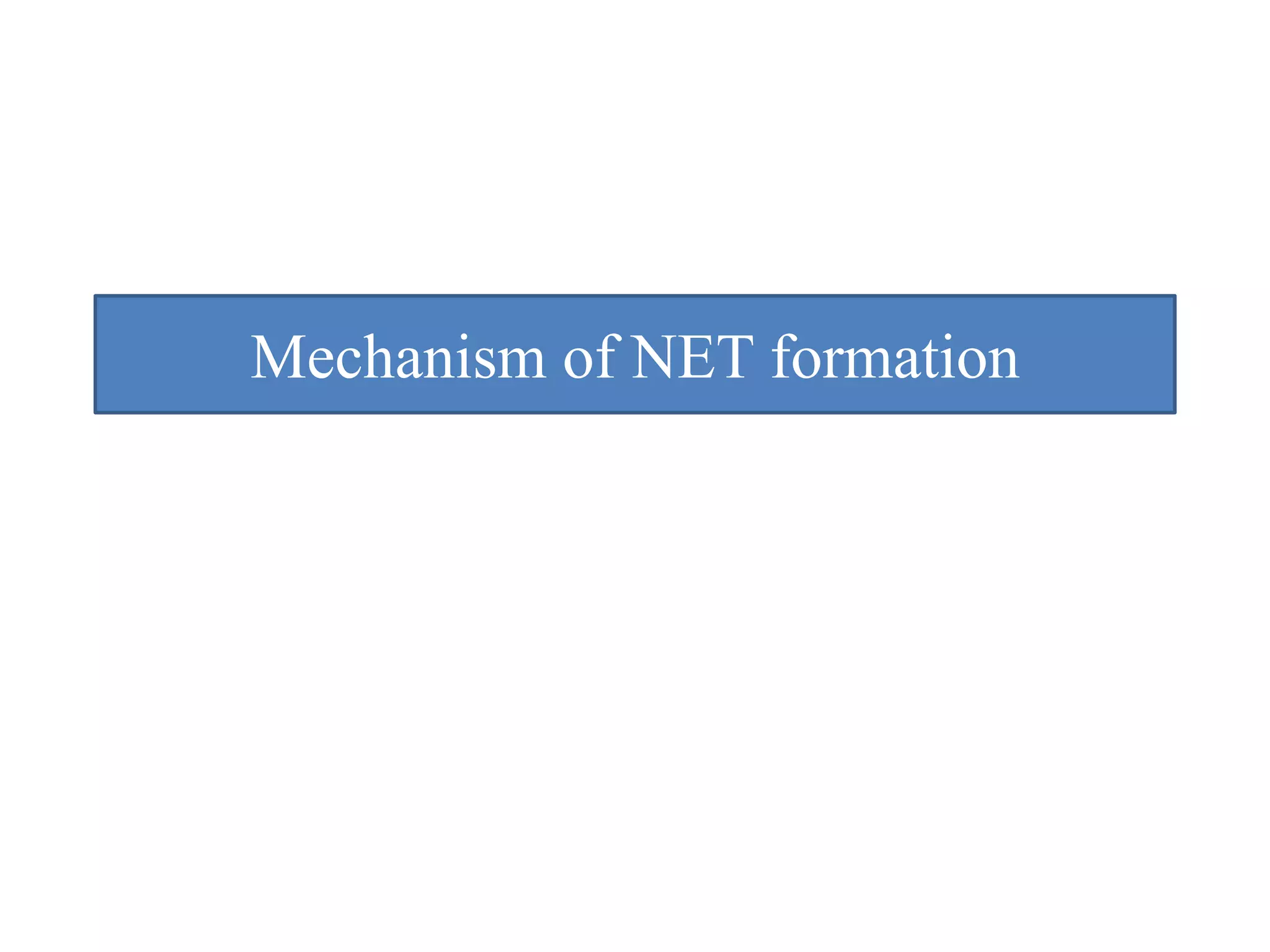 netosis [Autosaved].pptx