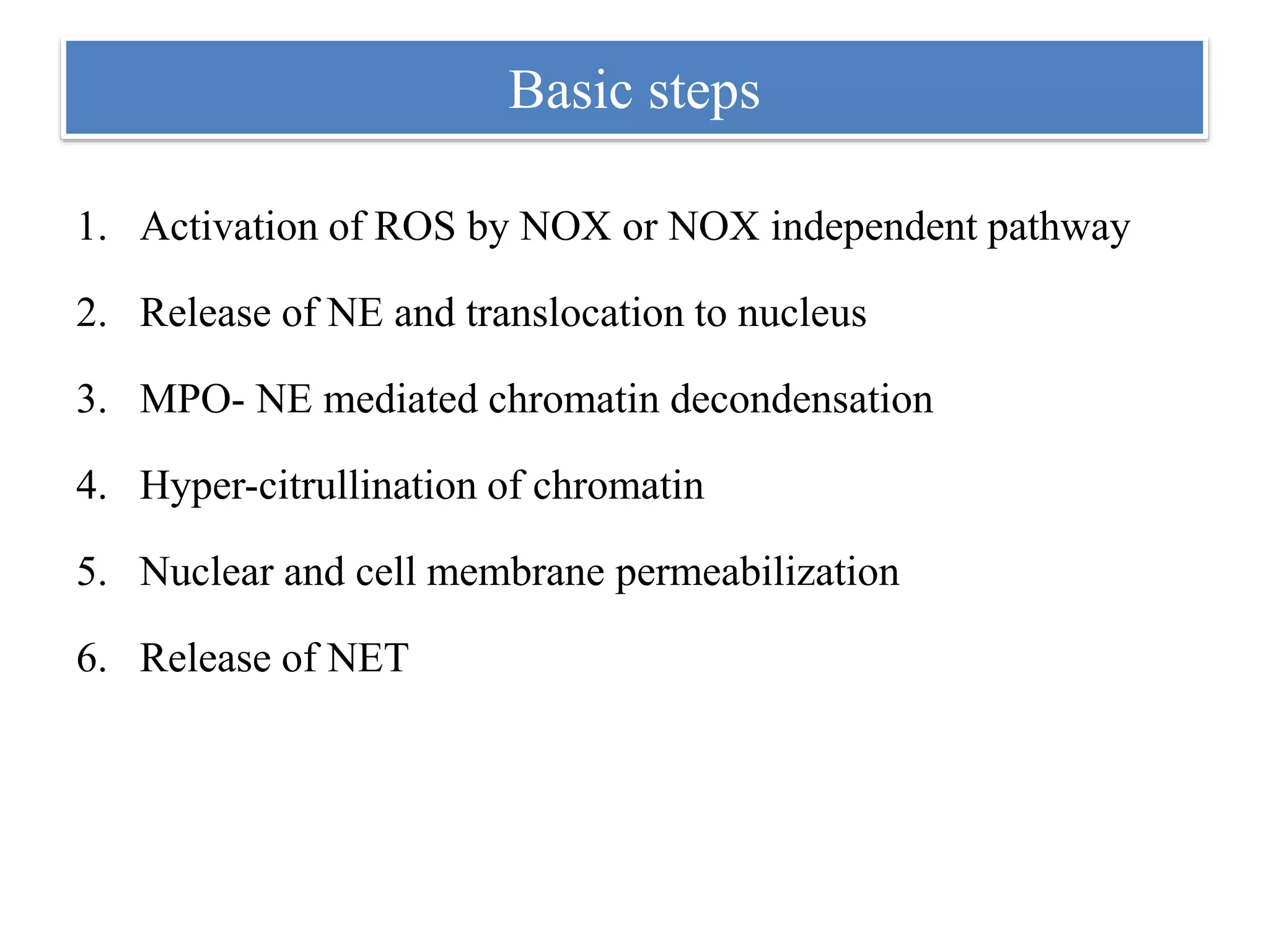 netosis [Autosaved].pptx