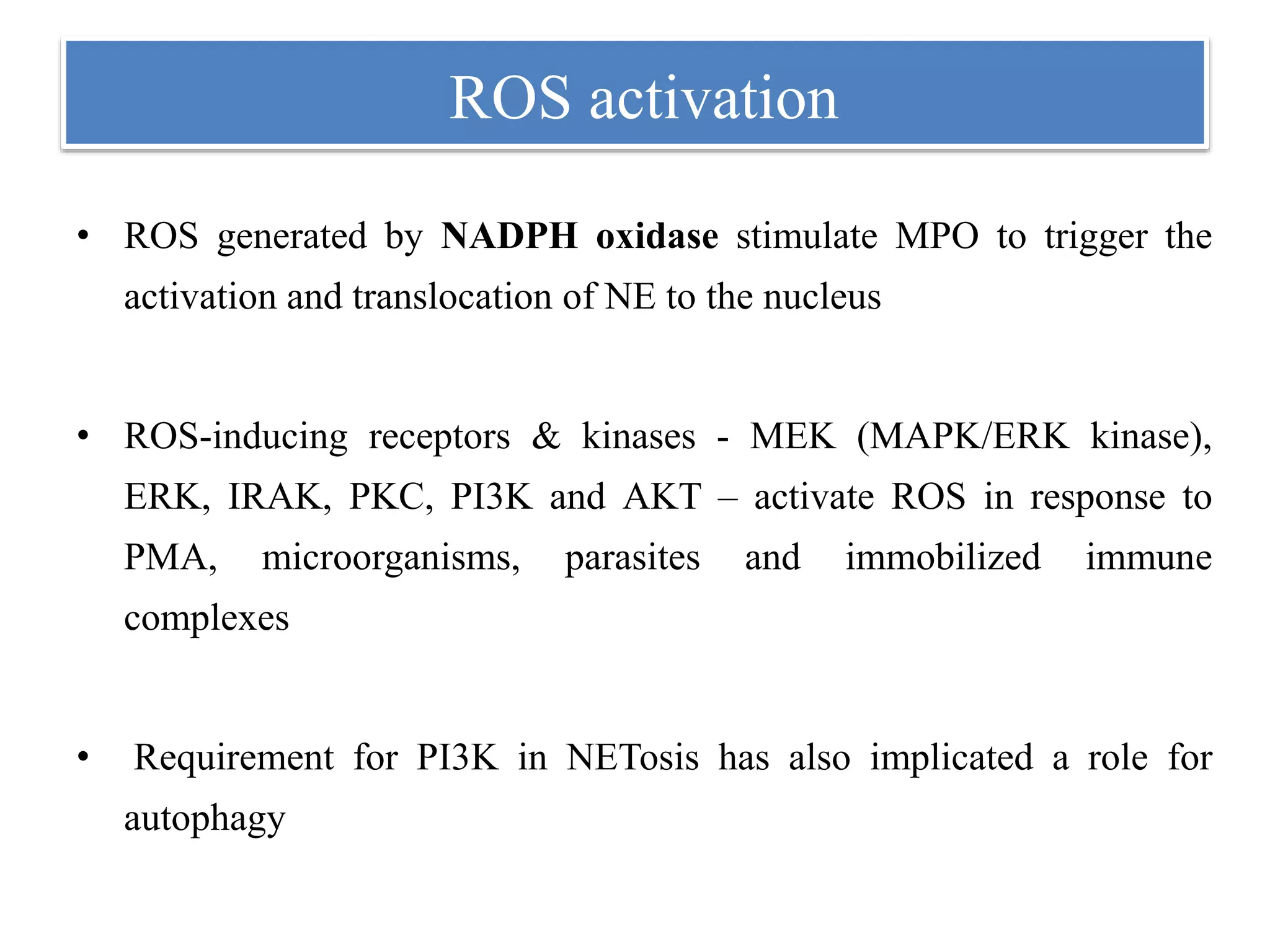 netosis [Autosaved].pptx