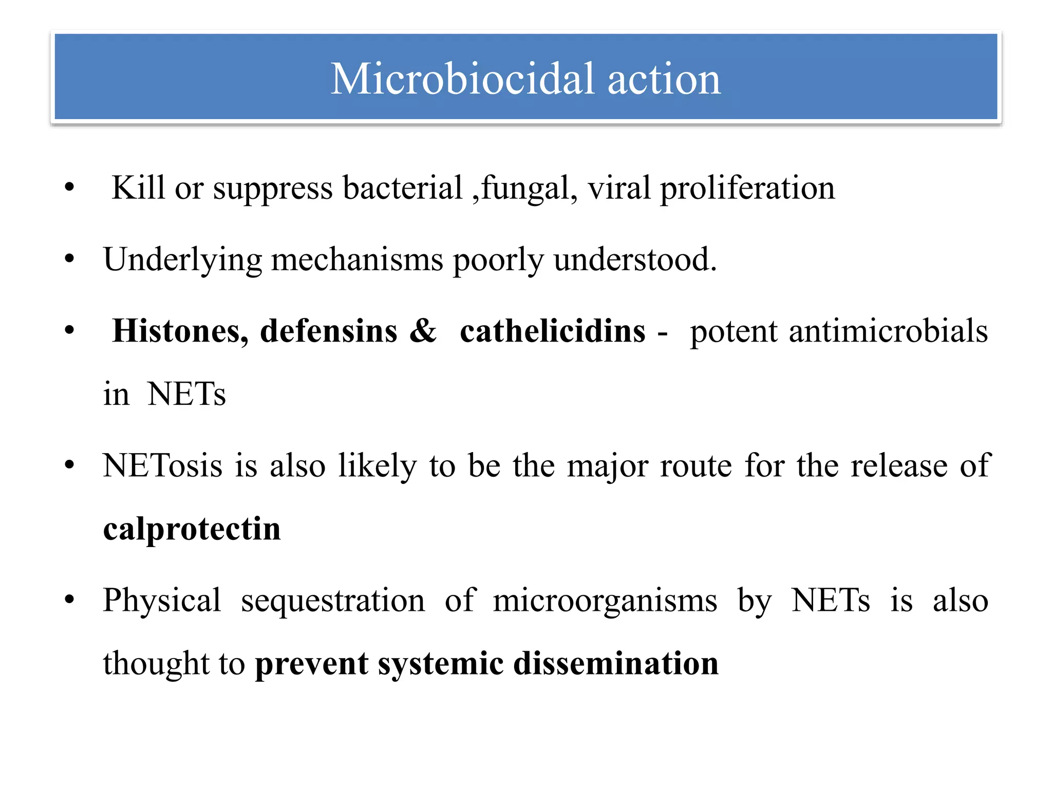 netosis [Autosaved].pptx