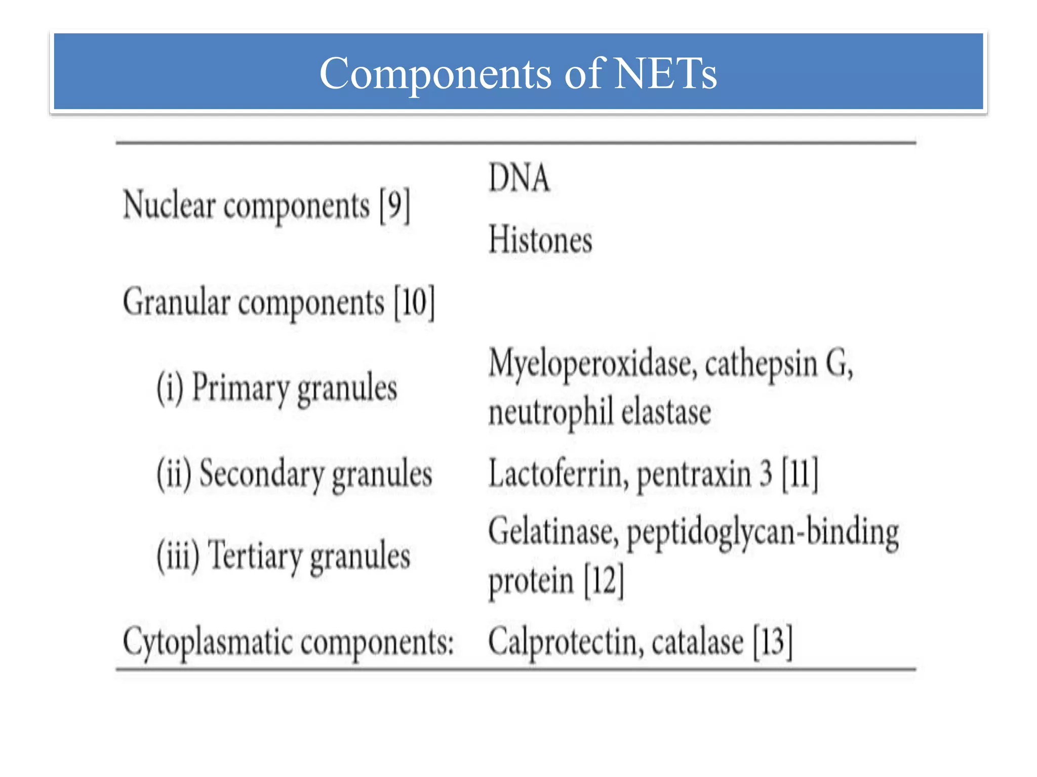 netosis [Autosaved].pptx