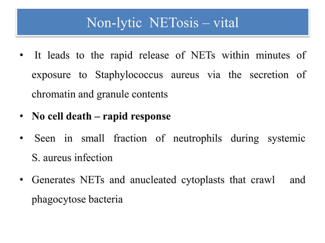 netosis [Autosaved].pptx