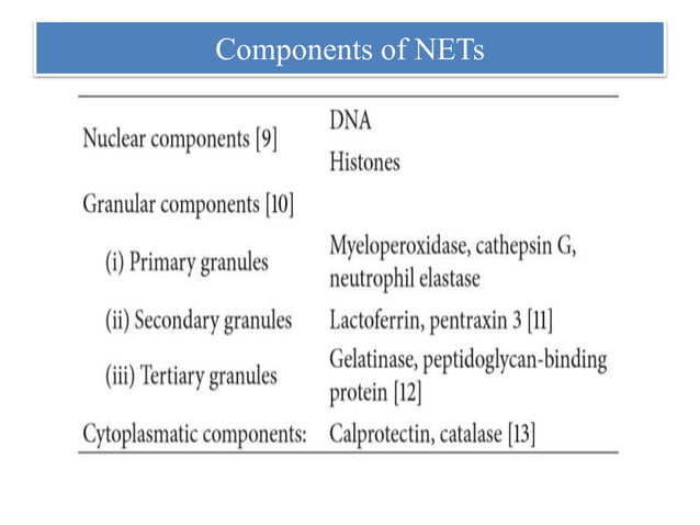 netosis [Autosaved].pptx
