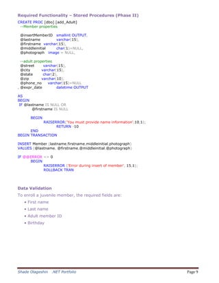 Net Portfolio Shade | PDF | Free Download