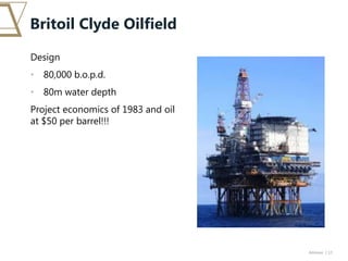 Net present value (NPV) | PDF